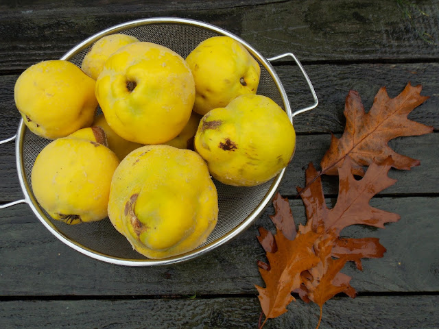 La saison des coings a commencé