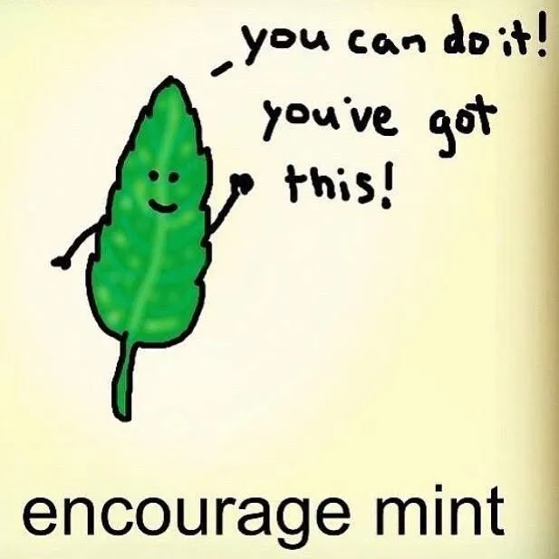 77 Best Encouraging Words and Motivational Quotes for Students