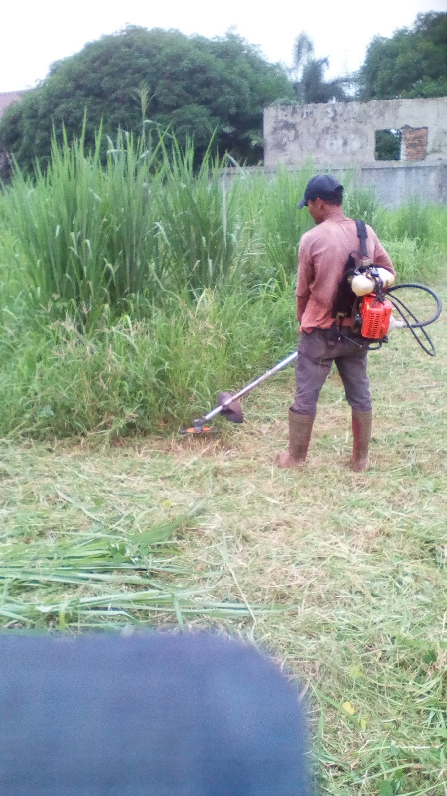 Perkhidmatan Mesin Rumput & Pembersihan Rumah