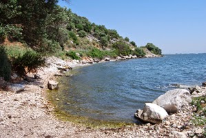ΒΙΓΛΑ ΑΜΒΡΑΚΙΚΟΥ
