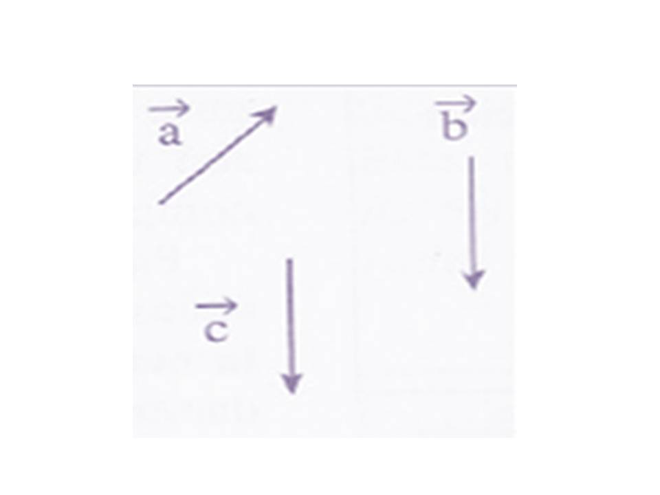 FÍSICA BÁSICA DEL PROFE DIEGO: VECTORES