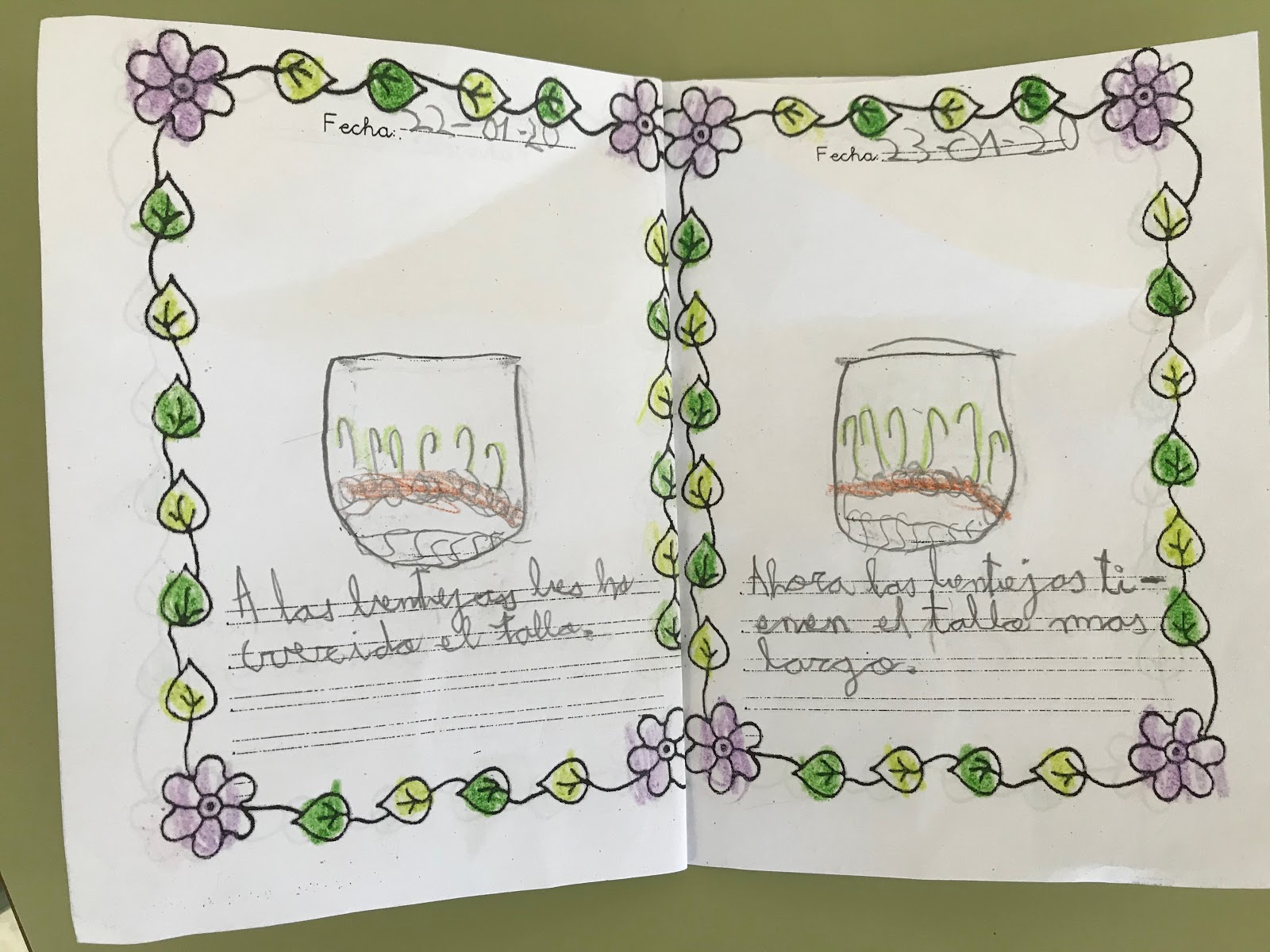 Recursos de Andrea: Diario de mi planta