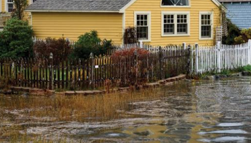 Montclair High School Bio Blog: Swim, Forest, Swim!!!