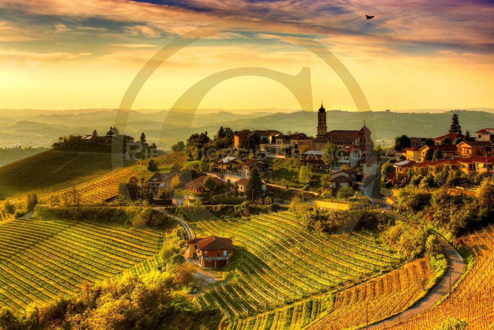 Langhe - Treiso at sundown