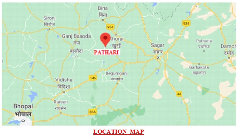 Pathari princely state court fee / revenue stamp