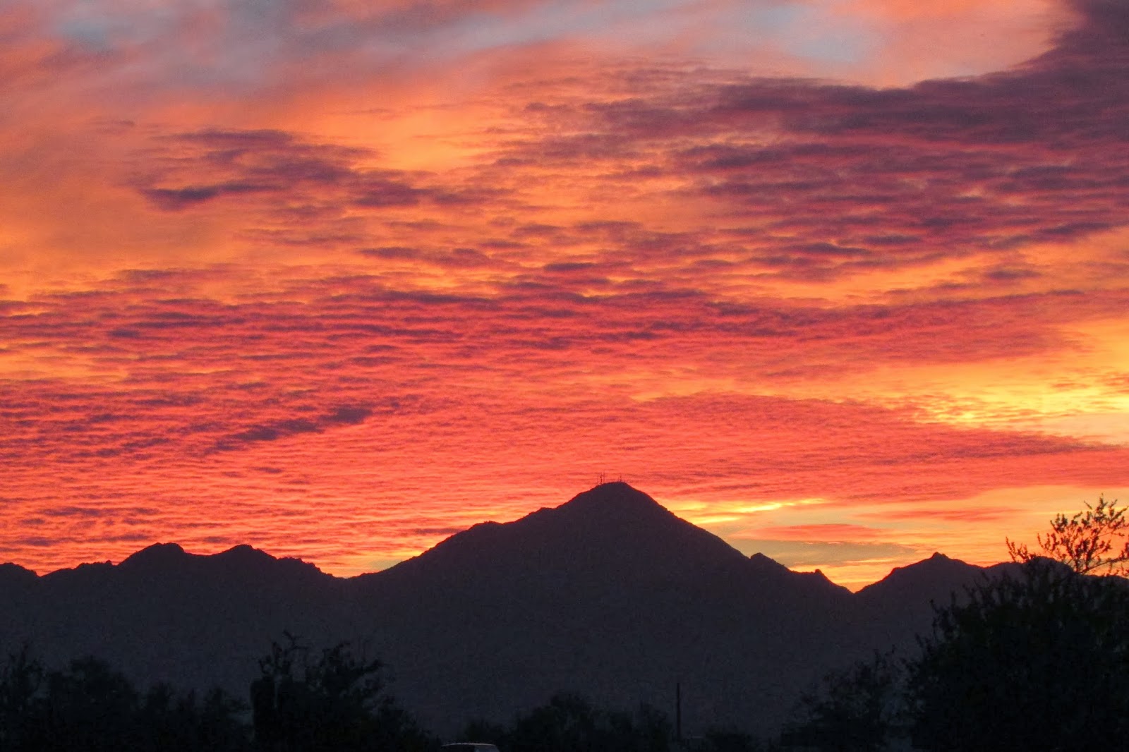 Me and My Dog ...and My RV: Quartzsite weather