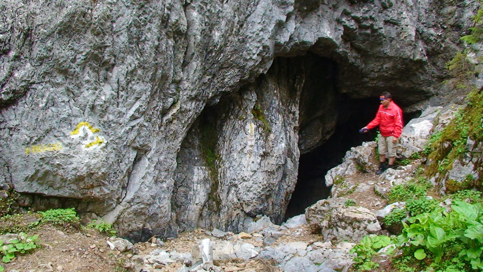 TUDOR PHOTO BLOG: Padis-Zona Turistica,Padis-Touristic Zone,Muntii ...