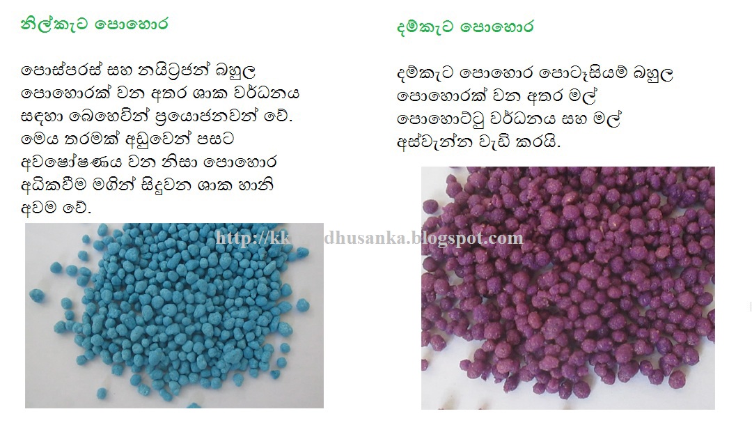 Fertilizer for Cultivation in Sinhala Medium