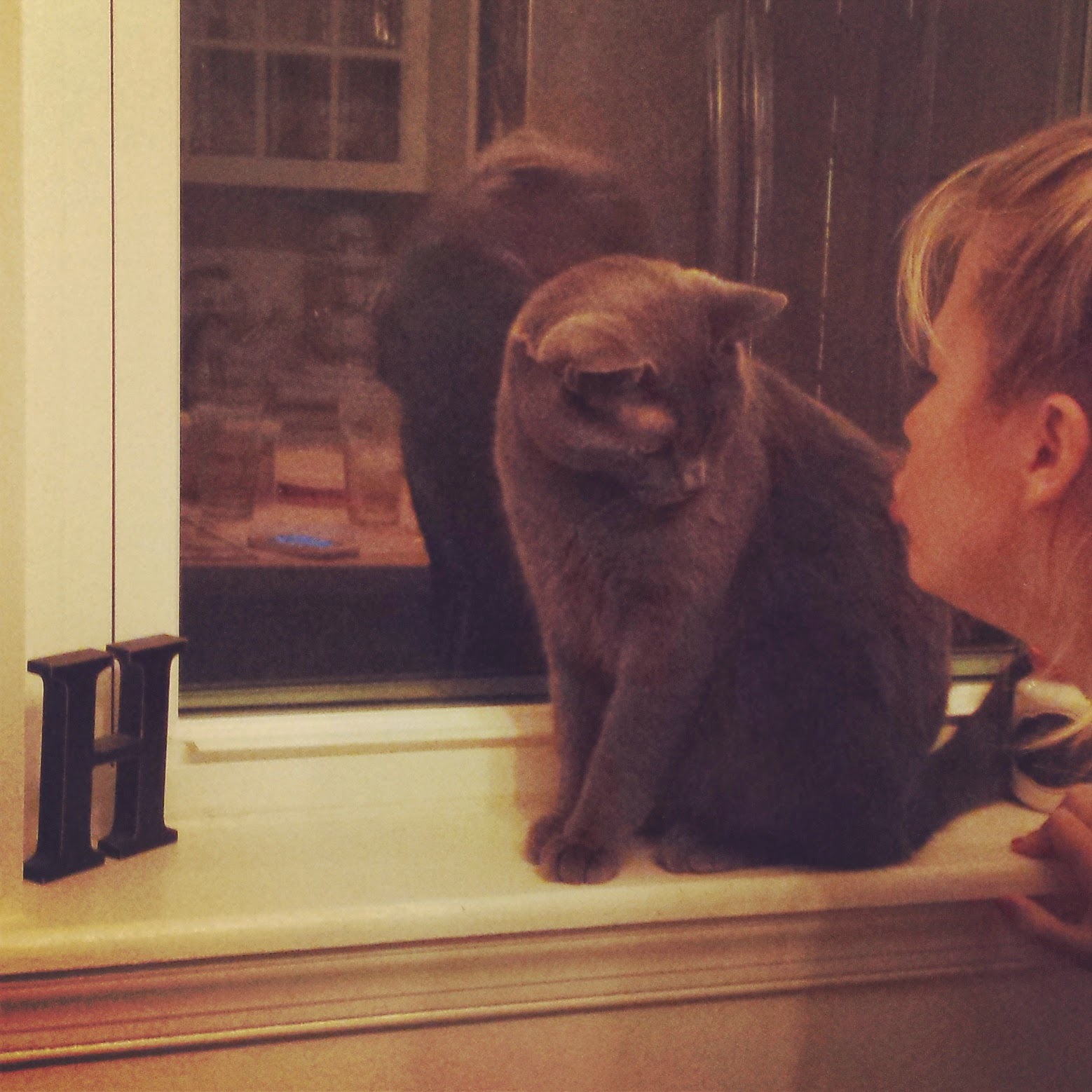 Mrs. H. Buys a House: Colored Walls and Dishwashers