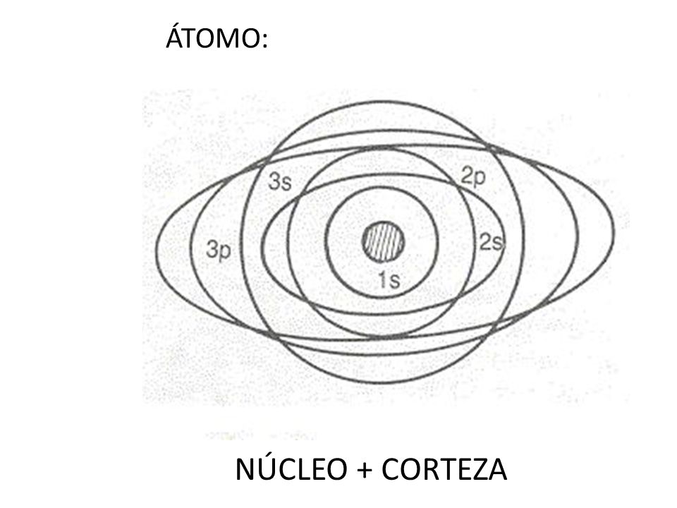 cienciassexto2016: febrero 2016