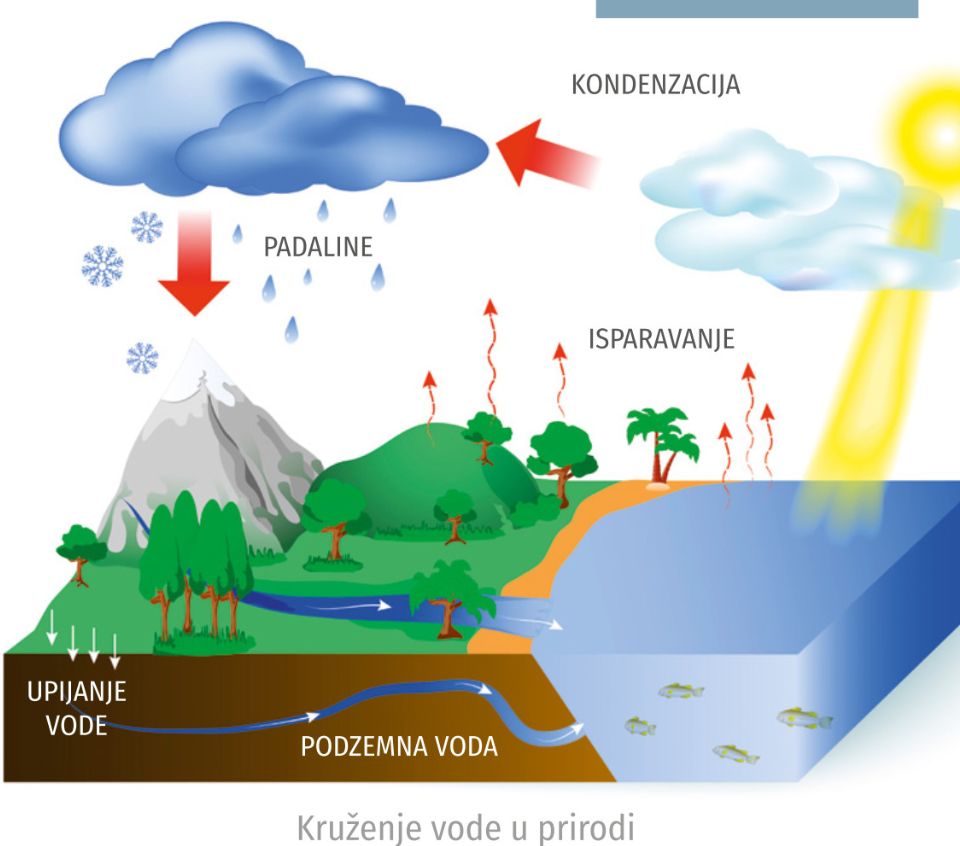 Geografija OŠ Kantrida Rijeka: Raspodjela voda na Zemlji (plan ploče) - 5.r