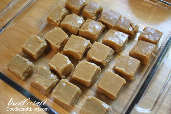 Brown Sugar Butterscotch Squares Copycat Recipe