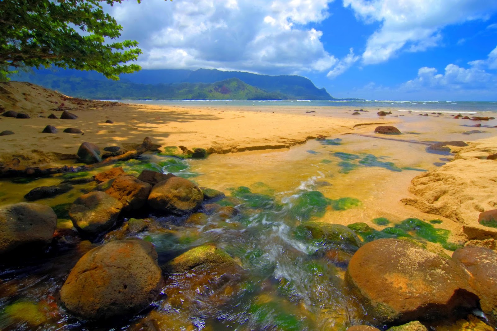 Amazing Pics - Worlds Most Amazing Pictures