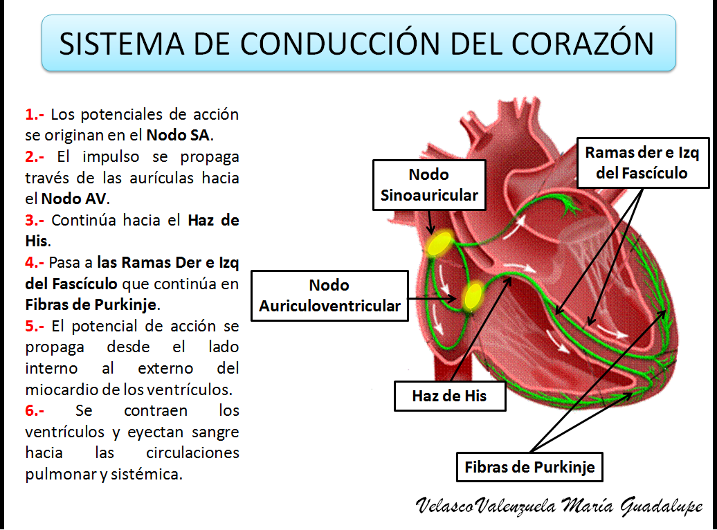Anata wa jōdanda :D