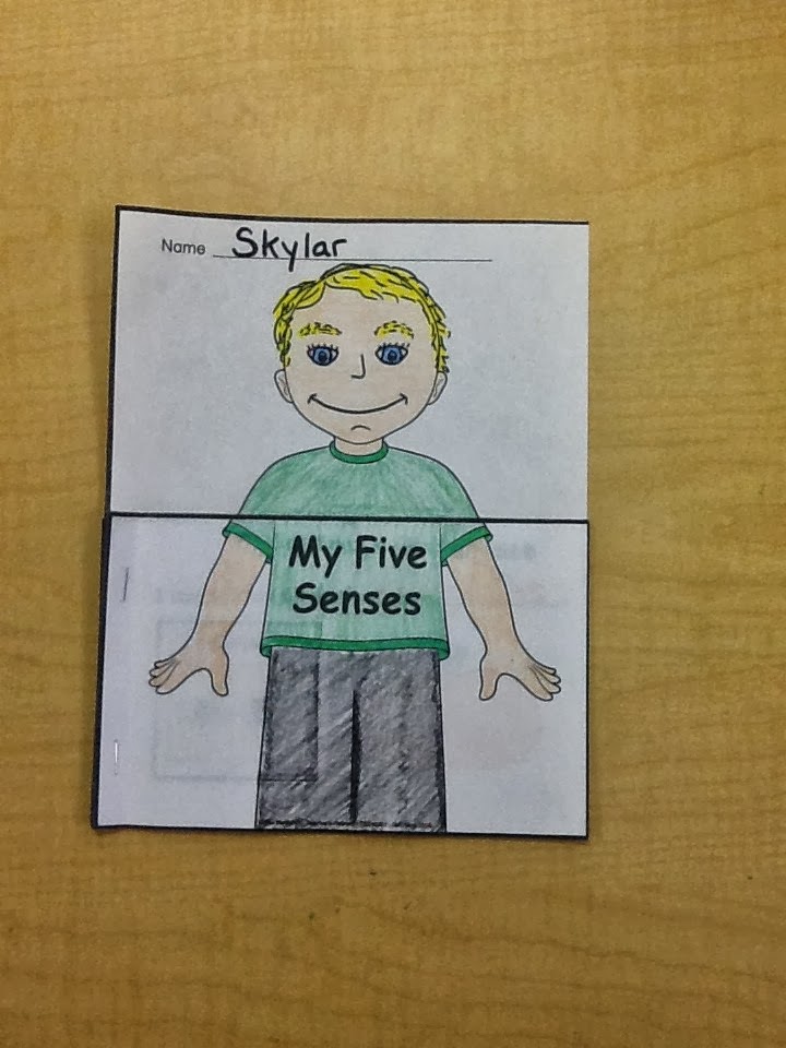 Mr. Linnet's Class Blog: This Week's At-Home Project: My Five Senses Book
