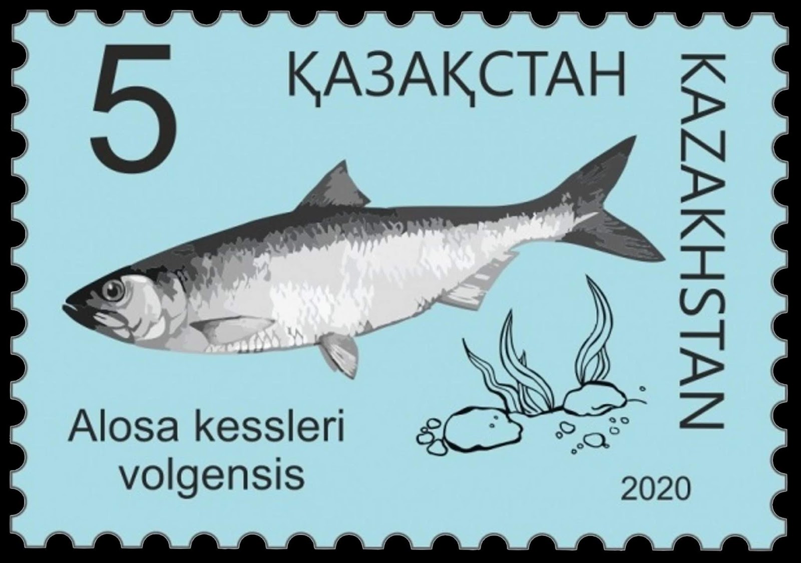 GULFMANN STAMPS WORLD: KAZAKHSTAN ~ Fish