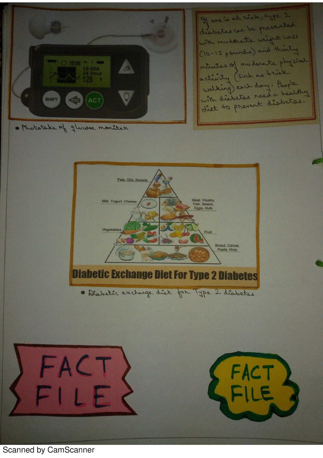 Class 12 SCIENCE Practical Readings and Projects: ISC Biology Project ...