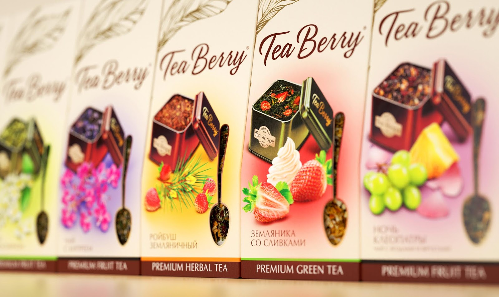 Teaberry — collection of fruit and herbal teas – Packaging Of The World