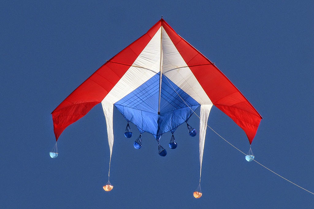 Livorno Daily Photo: More Kites