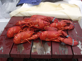 GASPE/ATLANTIC PROVINCES 2013: Day 8 - Cap-aux-Os, Gaspe, Quebec
