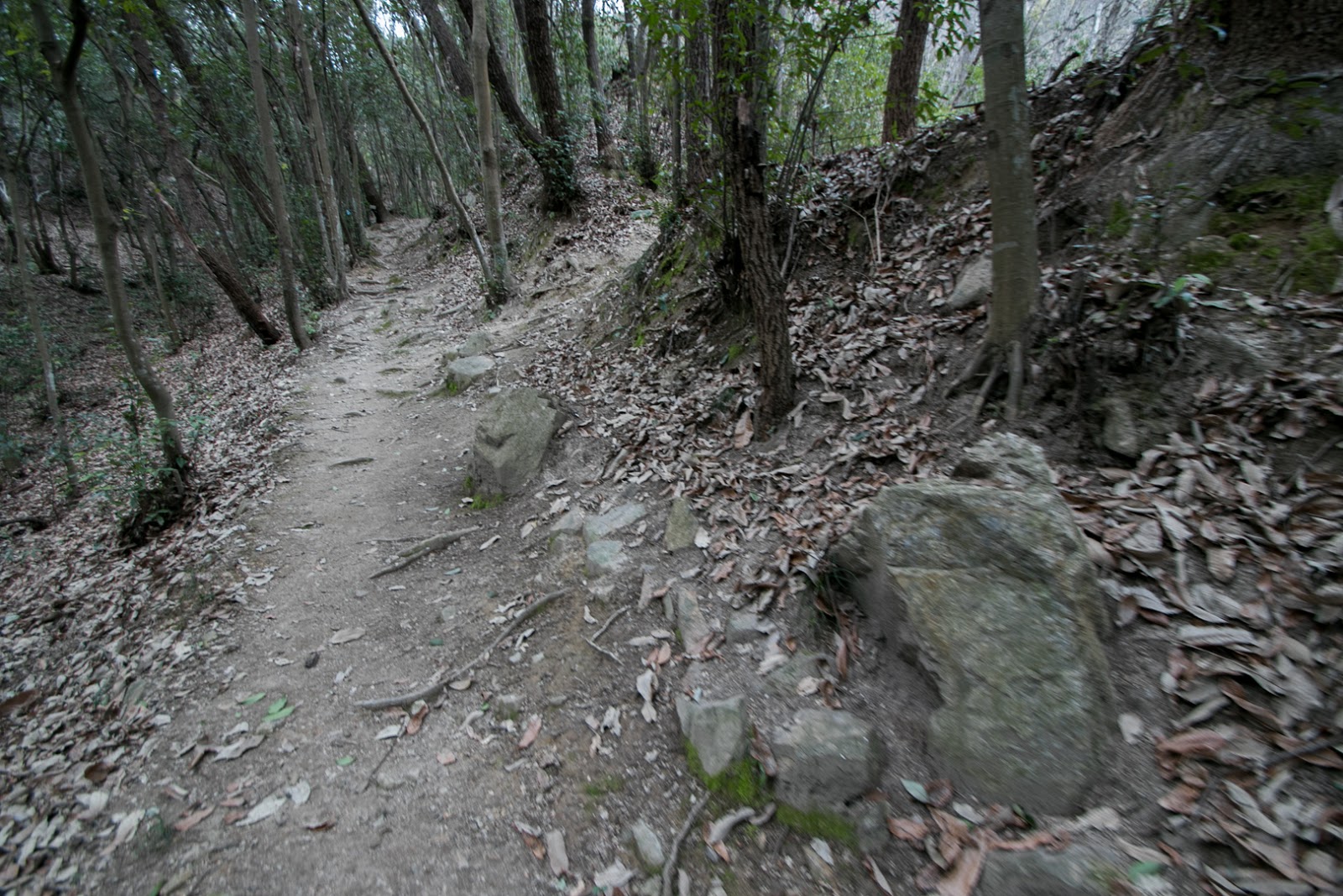 Niitakayama Castle -Intellectual pillar of Mouri clan (2)- | Japan ...