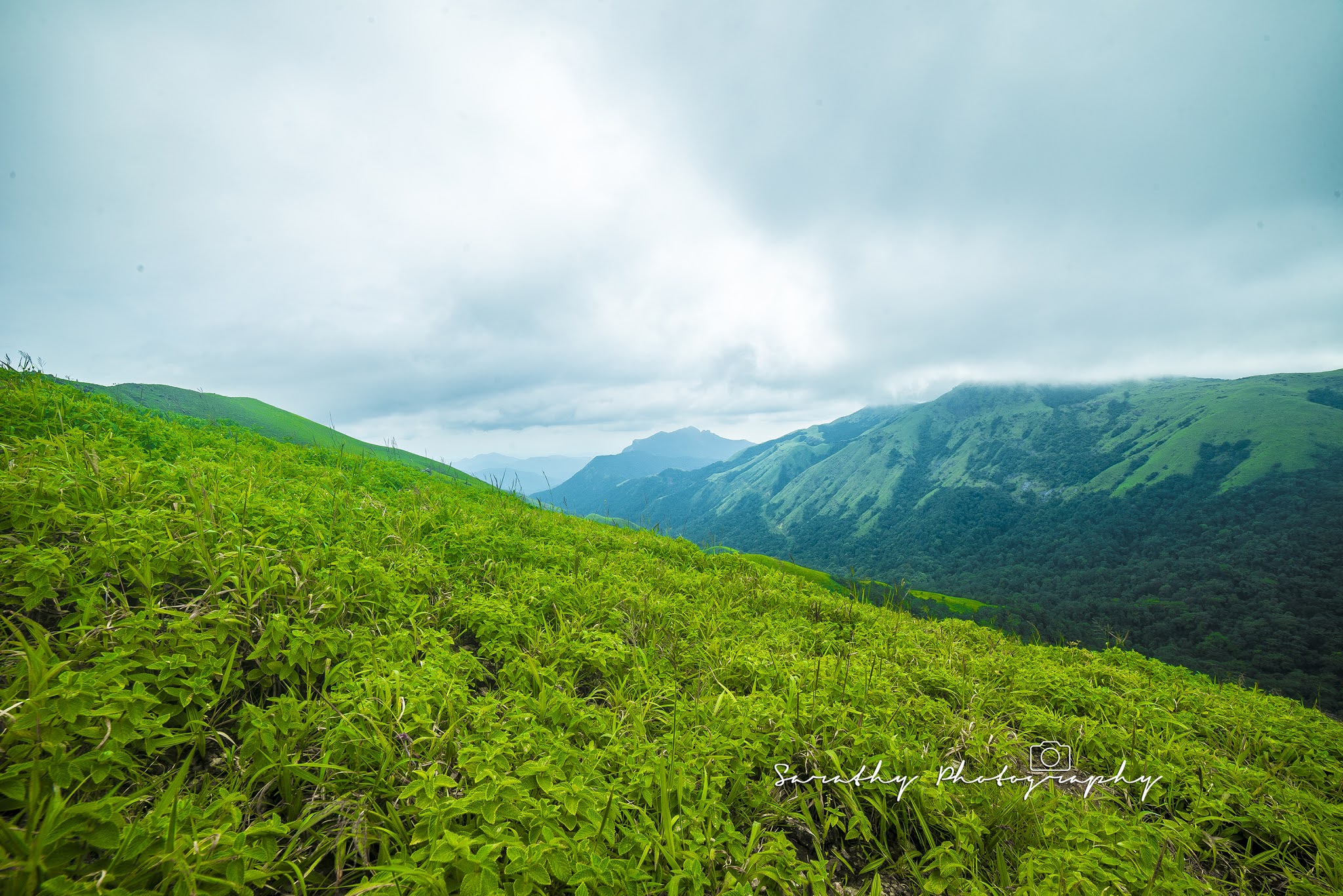 Devaramane Grasslands and Doddegaddavalli Temple day trip
