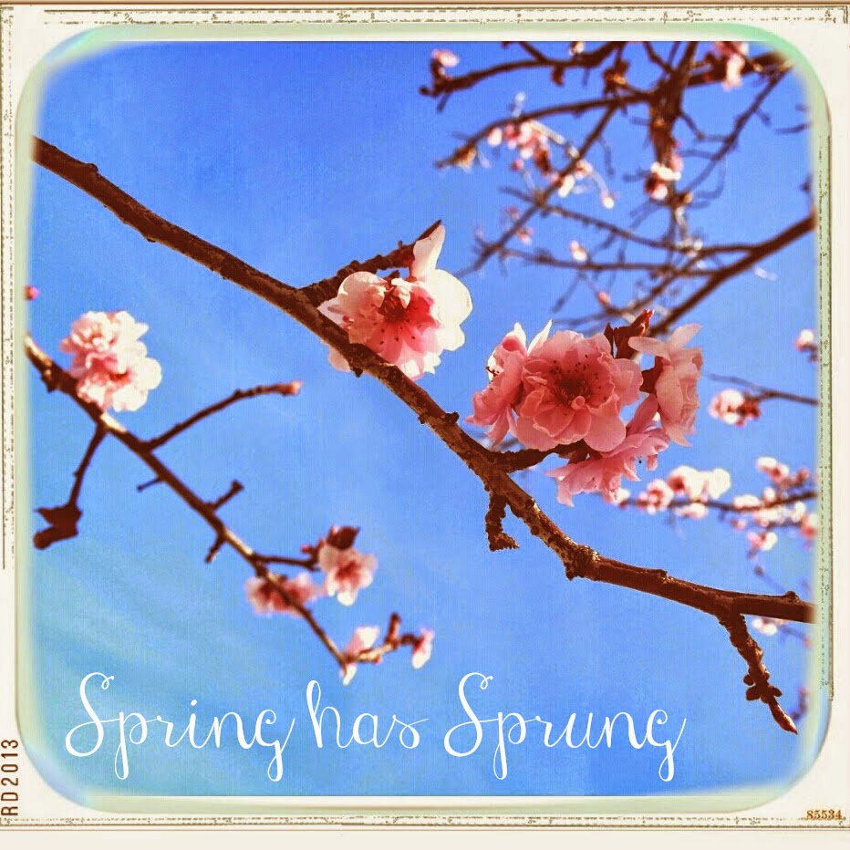 Window to the Waldrons: { springing forth }