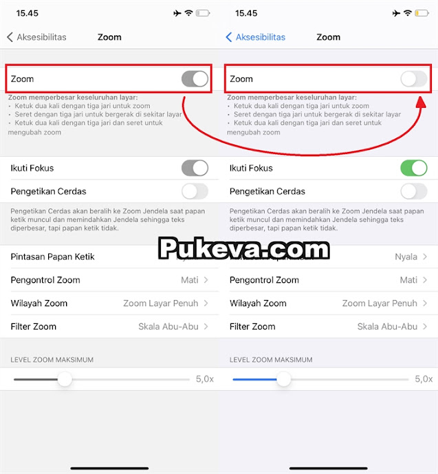 Cara Mengatasi Layar iPhone Berubah Jadi Hitam Putih / Abu-Abu | PUKEVA