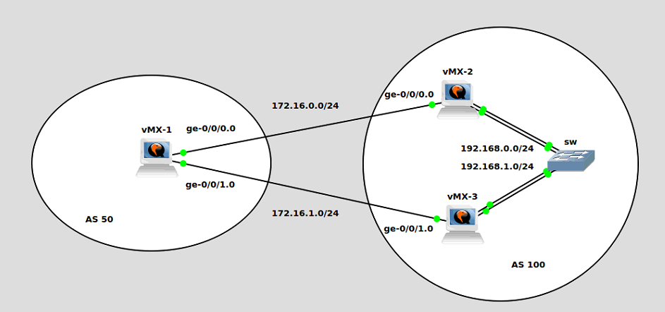 CCNP/JNCIS EN ESPAÑOL: JNCIP - BGP - OPERACIÓN