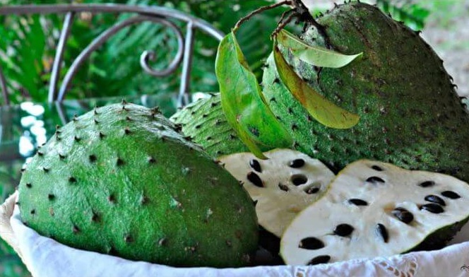 Remedios Caseros y Medicina Natural : 6 Beneficios de Consumir Jugo de Guanábana