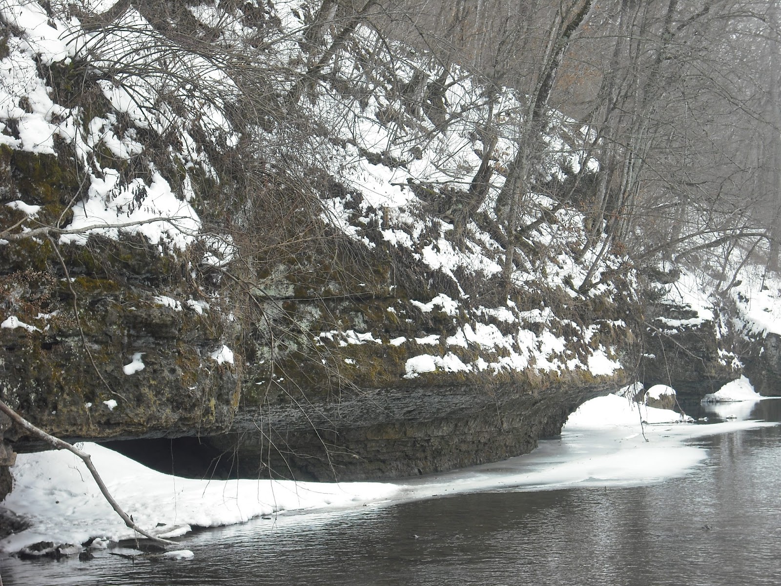 Way of the Buffalo: Algific Talus Slope