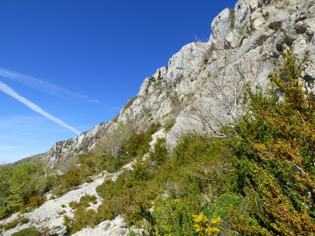POR LA MONTAÑA ALAVESA: DE GASTIÁIN A ARNABA POR EL VALLE COLGADO DE ...
