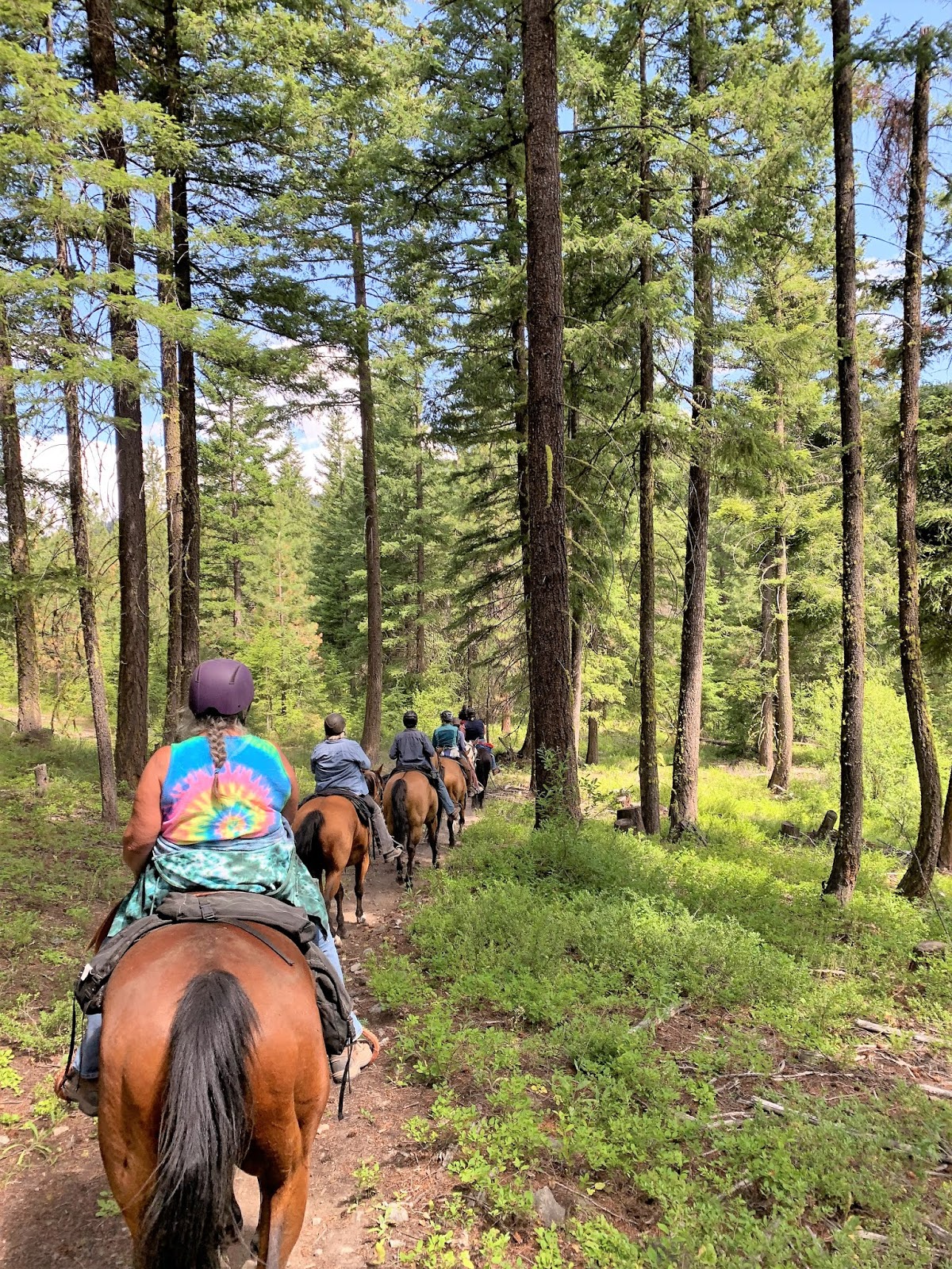 Methow Valley Back Country Horsemen: 2019 Rendezvous Hut Ride
