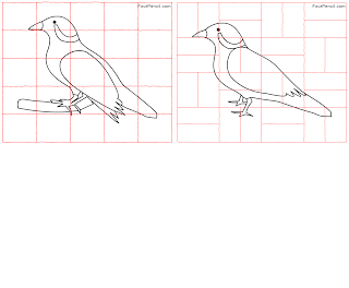 Four grid: Free printable Myna grid line drawing worksheet/activity for ...