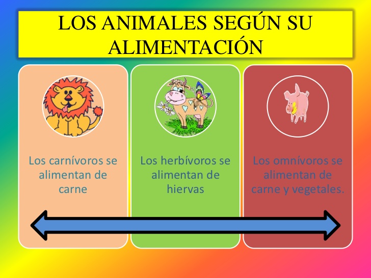 Ciencia y Tecnología 2° A: LOS ANIMALES (CARACTERÍSTICAS): (08 de ...