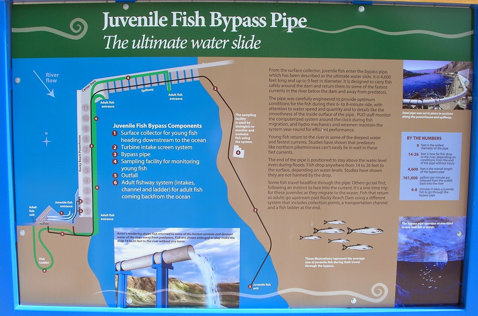 Travel with the Slivas: Rocky Reach Dam-near Wenatchee, WA