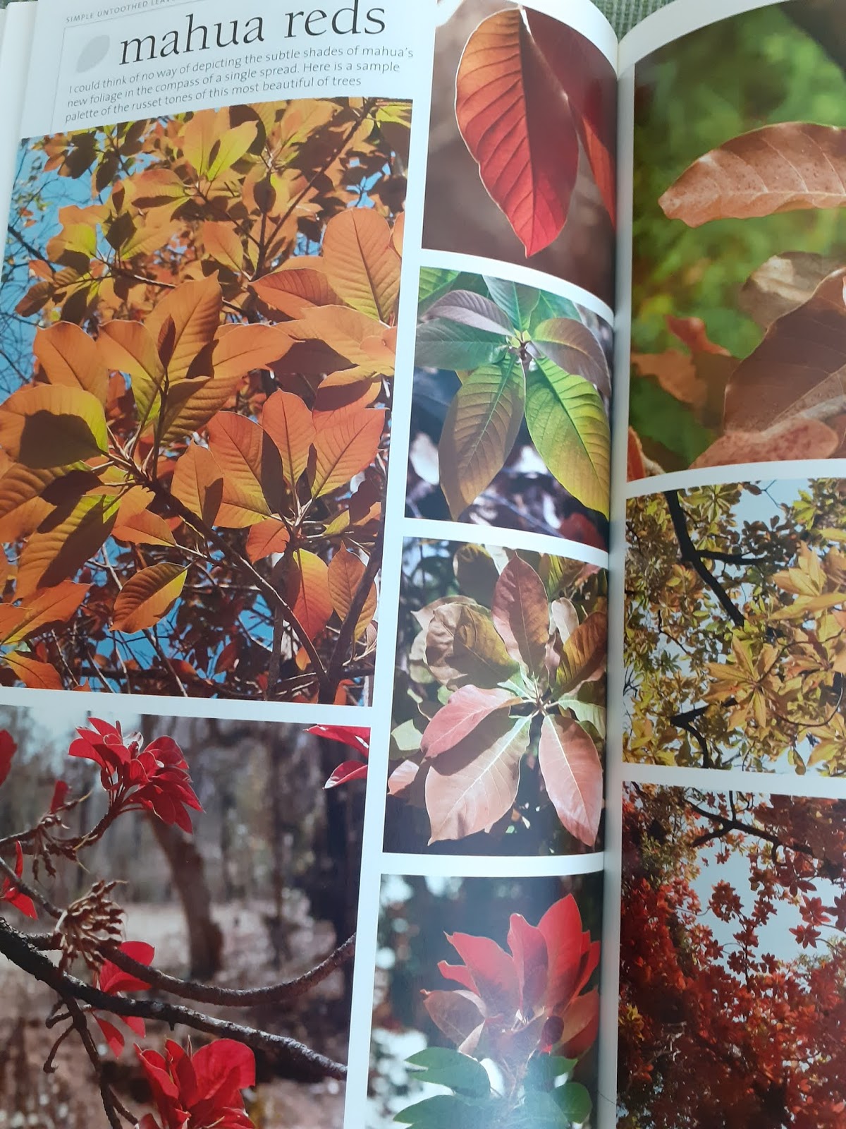 Spice of Life!: Upside Down (ThursdayTreeLove)