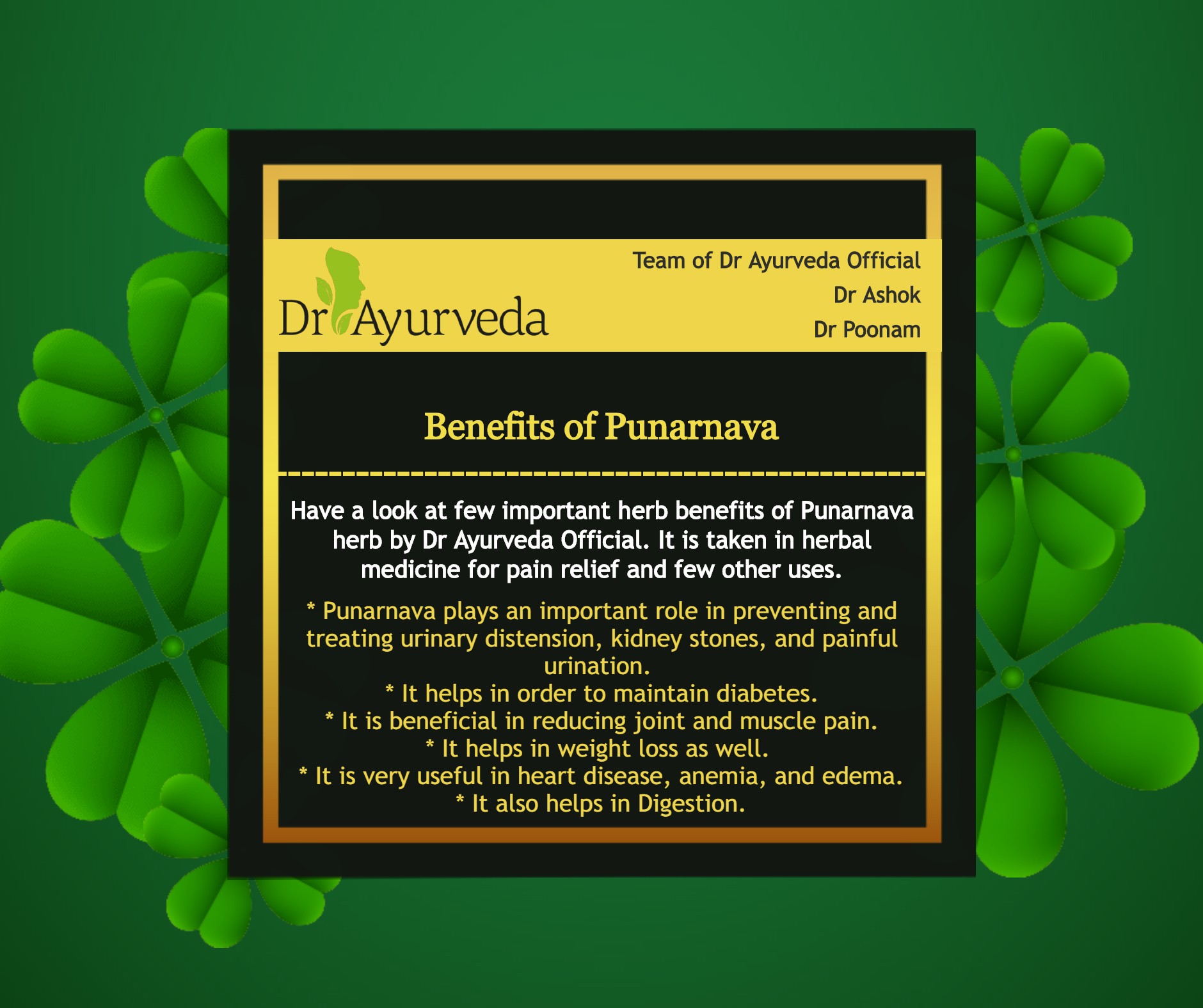 Dr Ayurveda Official: Punarnava herb benefits by Dr Ayurveda Official