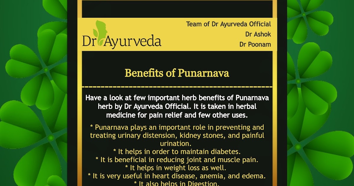 Dr Ayurveda Official: Punarnava herb benefits by Dr Ayurveda Official