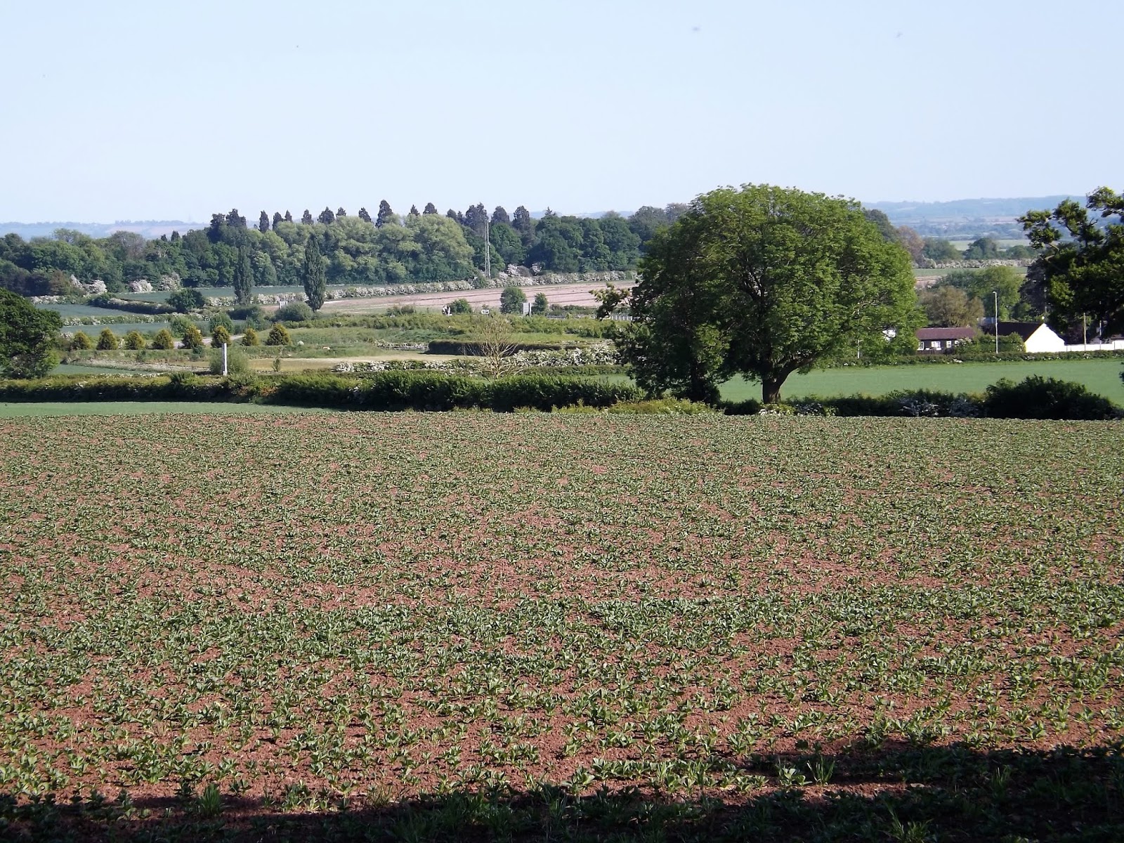 JJ's Wargames: Battle of Stoke Field, 16th June 1487