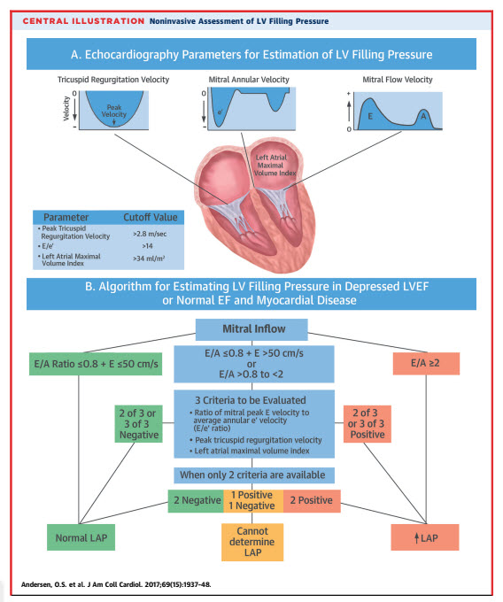 Orion Cardiology, PLLC : The EACVI Webinar : Diastolic function made ...