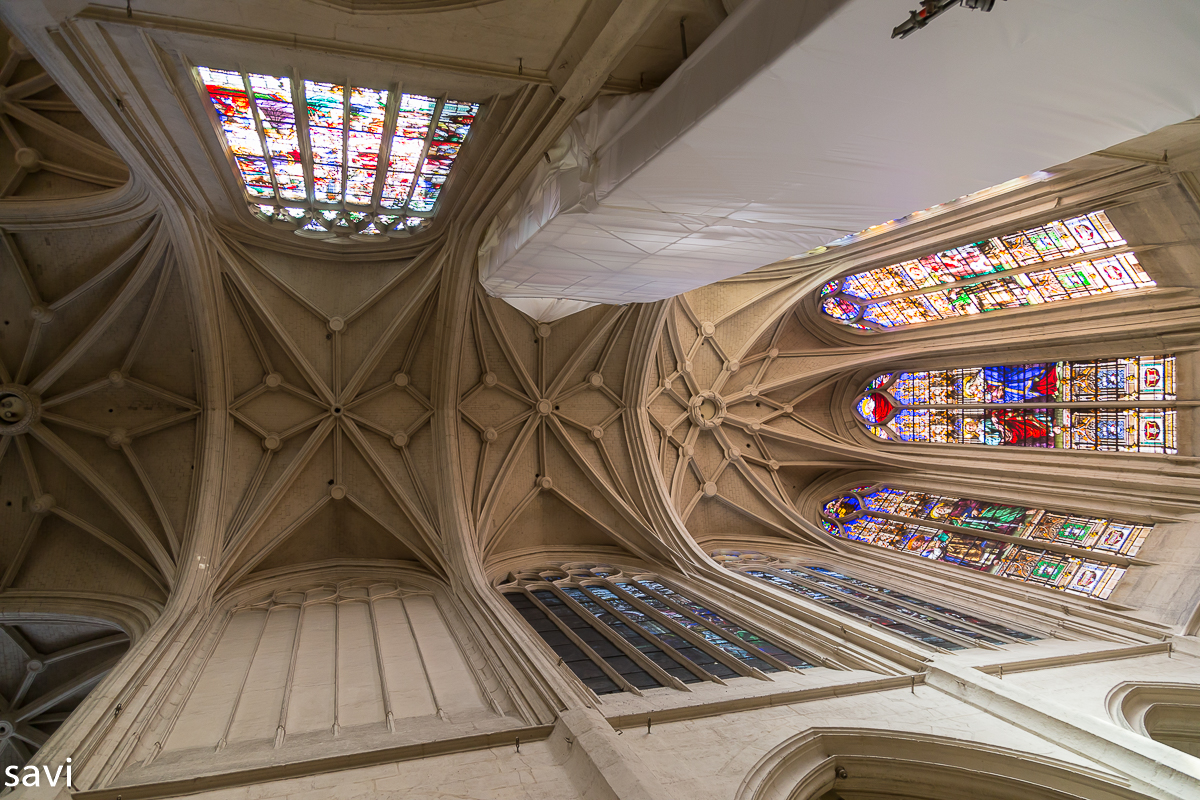 sacerdos viennensis: Gervasius und Protasius