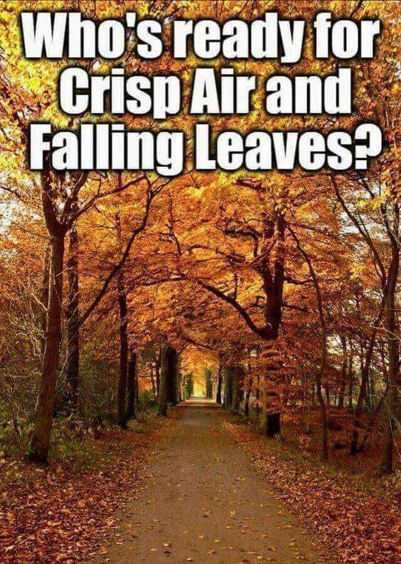 Creeper Trail Bike Rental & Shuttle: Fall Is Just Around The Corner