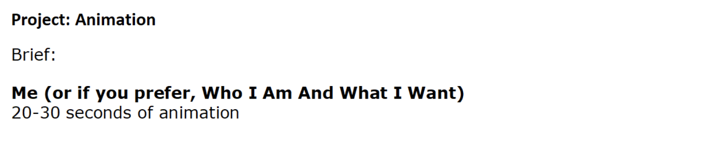 Animation Brief