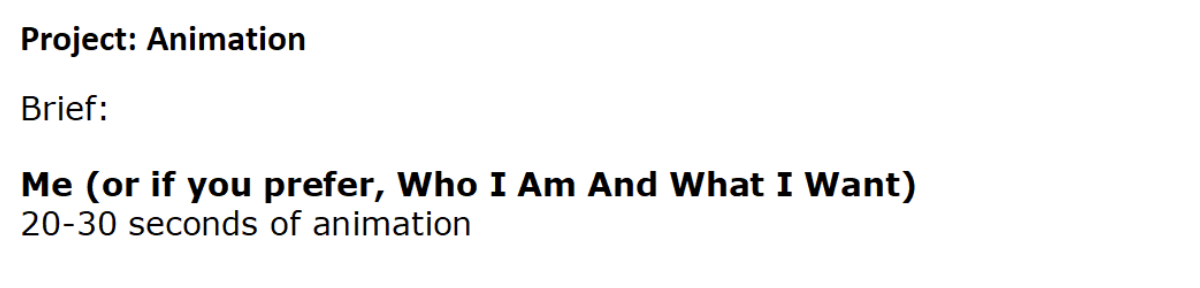 Animation Brief