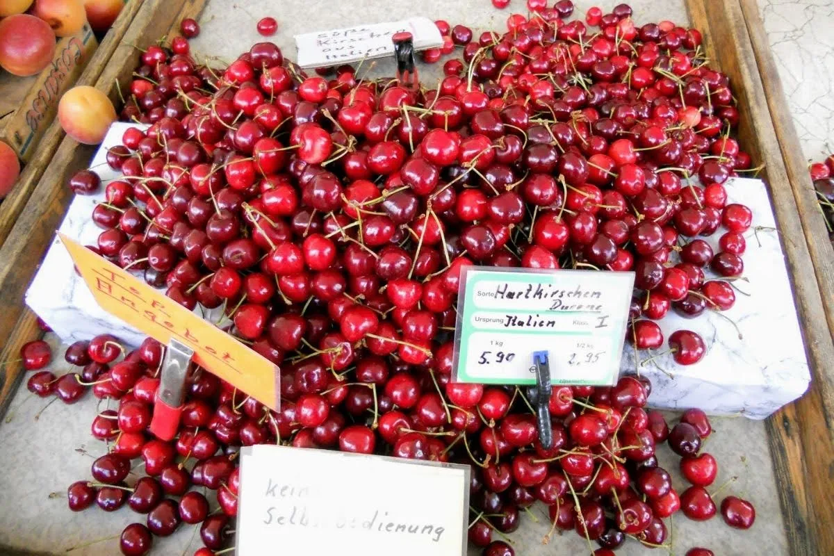 2 Days in Munich in the Spring: Great Things to Do, See & Eat ...