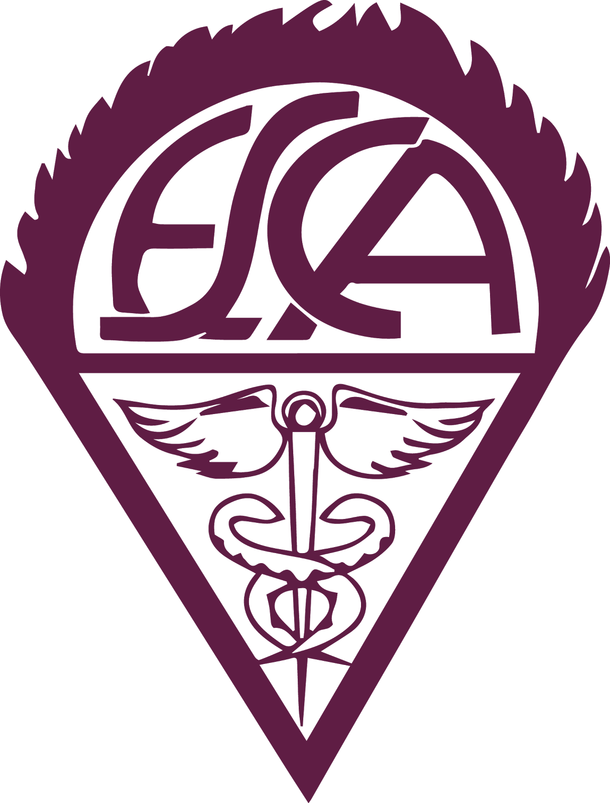 Regresando a la ESCA