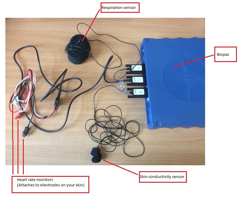 Lie detectors – true or false?