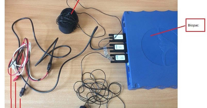 Lie detectors – true or false?