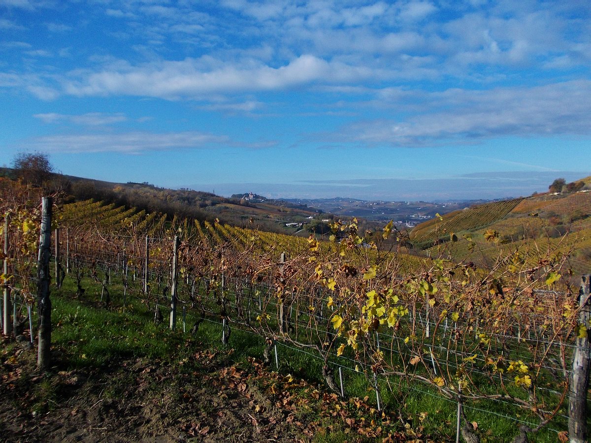 Fotografando...: Le colline di Calamandrana (At)